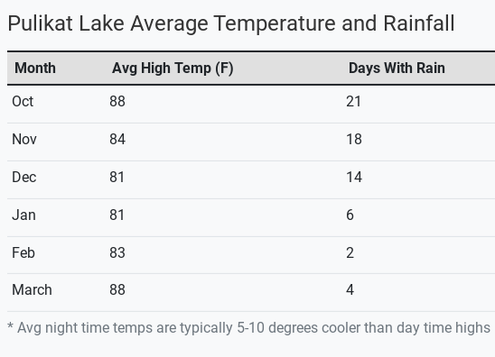 When Is The Best Time To Visit Pulicat Lake Bird Sanctuary?
