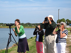 Bird Watching Tips and Helpful Hints