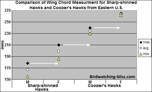 Coopers Hawk vs. Sharp-Shinned Hawk Identification