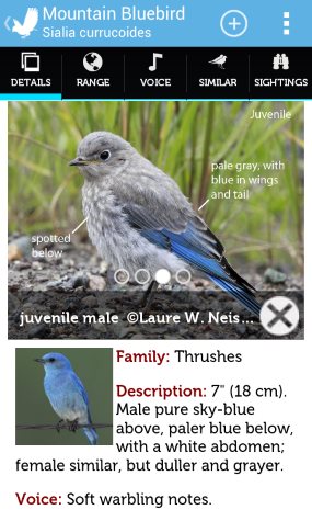 Best Birding Apps for iPhone, Android, Tablets (2021)
