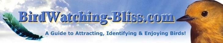 Bird Reproduction and Anatomy